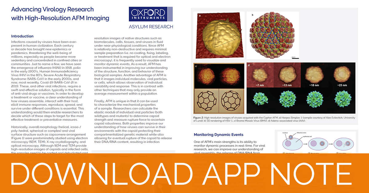 Imaging Virus Capsomeres, Release and Infection with AFM