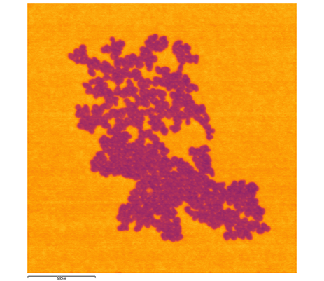 Ergo KPFM | Software for Asylum Research Cypher AFMs